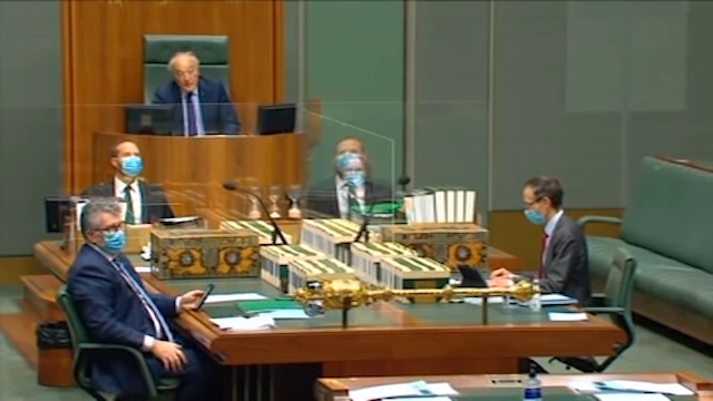 MPs attempt to silence Craig Kelly MP in Parliament over Australian ...